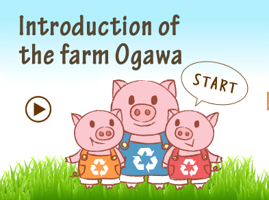 Business description Hog raising │ OGAWA GROUP